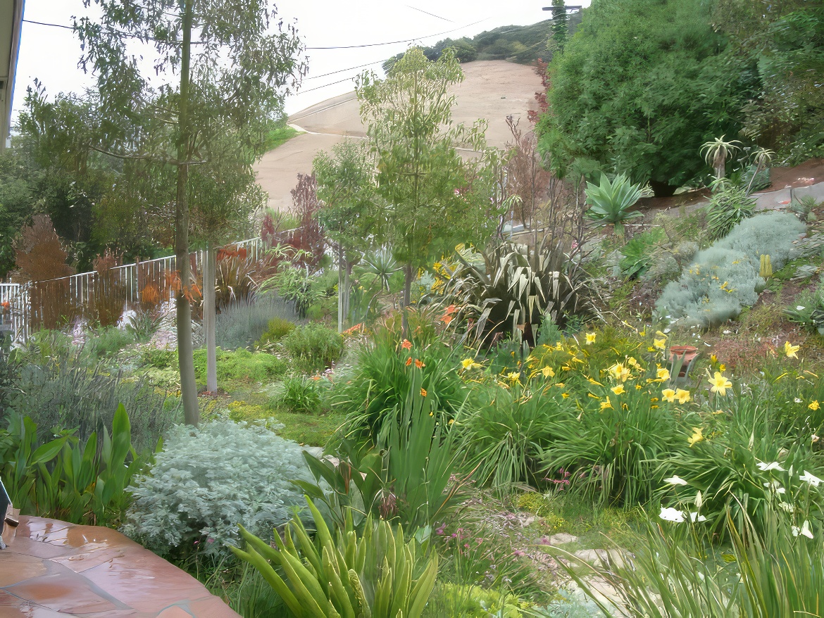 Mediterranean Hillside Gardens